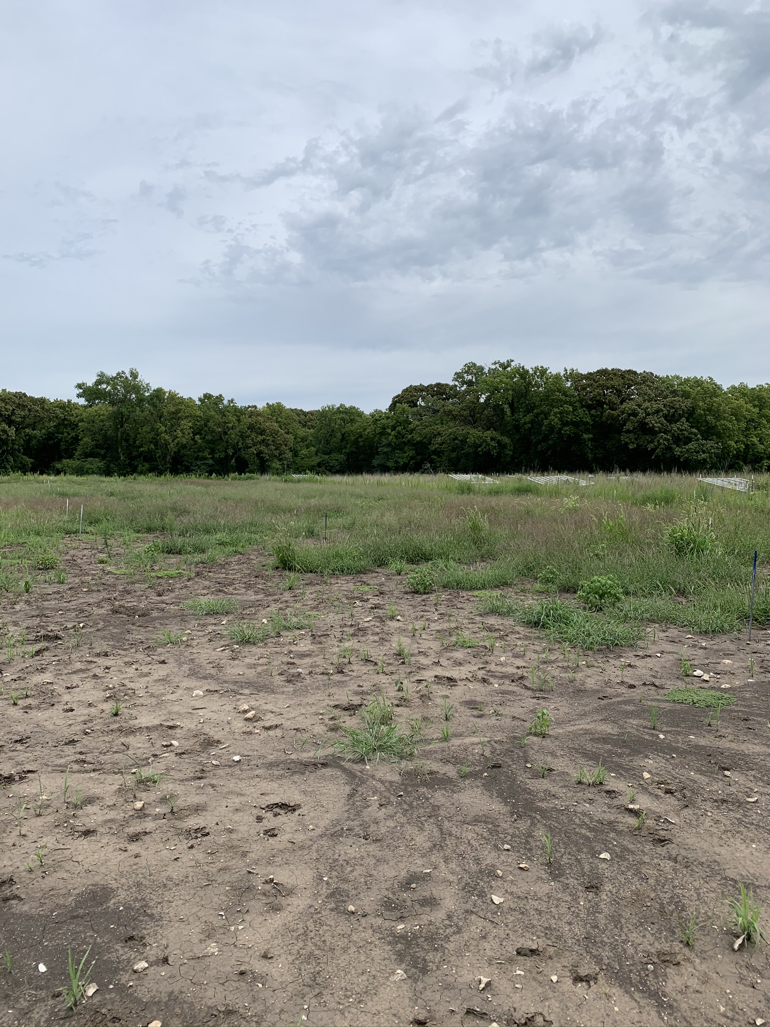 Baer Ecology Laboratory | Baer Ecology Laboratory